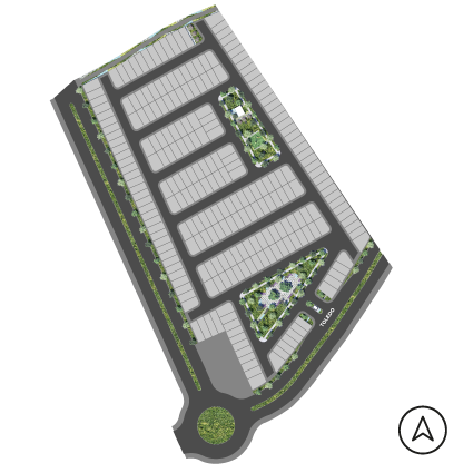 Dalias II – Dalias